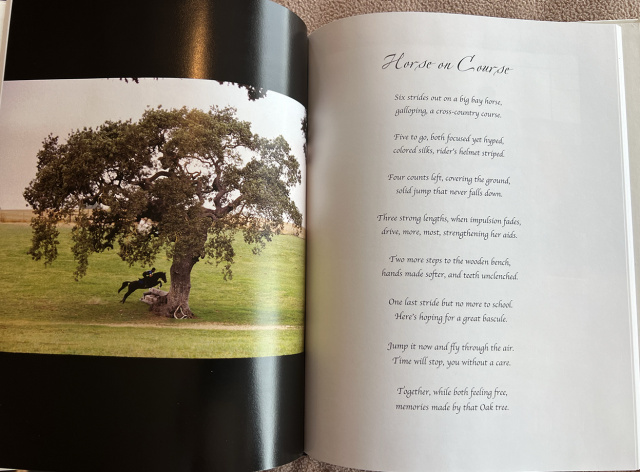 BO 2 Used Book Leroy Neiman Horses Amazon $526.29 From Me: $200